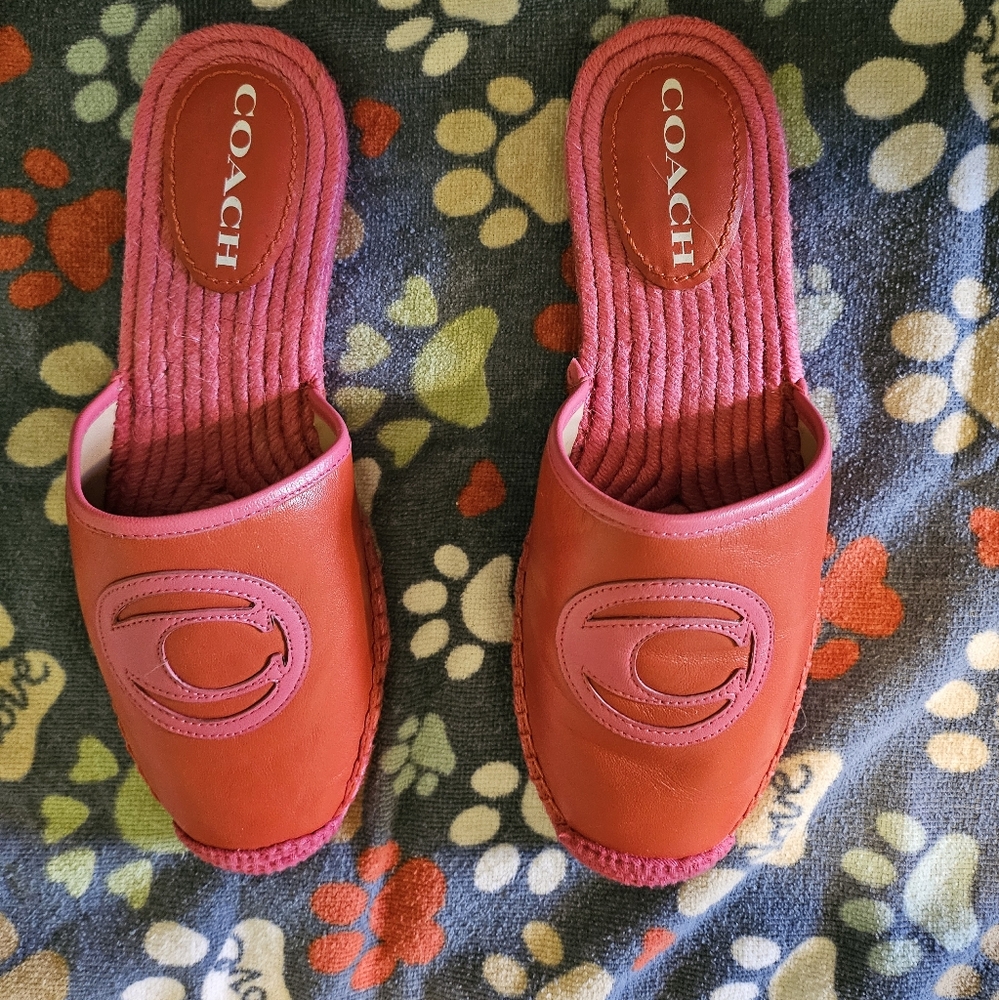 Coach Slides - Gem